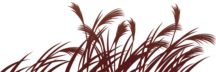 Reed hand drawn sketch Royalty Free Vector Image