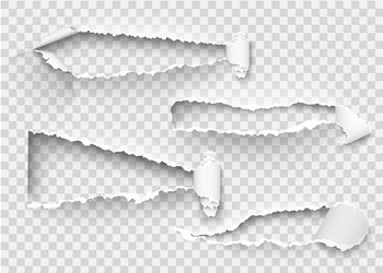 Torn ripped paper template sides Royalty Free Vector Image