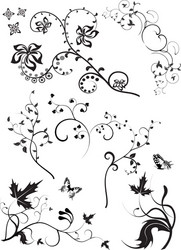 Floral elements Royalty Free Vector Image - VectorStock