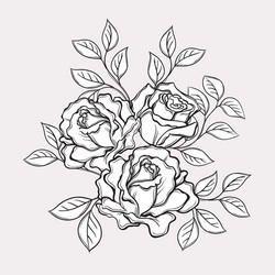 Peony flowers outlines hand drawn Royalty Free Vector Image