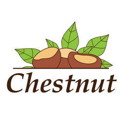 Chestnut logo in cartoon style Royalty Free Vector Image