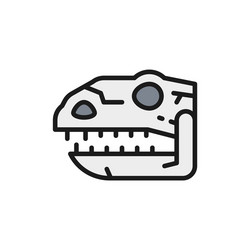 Skeleton of tyrannosaurus rex t-rex skull Vector Image