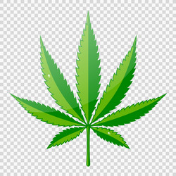 Cannabis Leaf Drop Vector Images (over 2,600)