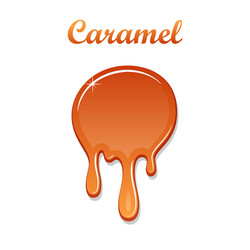 Caramel puddle Royalty Free Vector Image - VectorStock