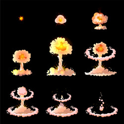 Fireworks animation animated firework explosion Vector Image