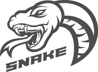 Python snake logo animal graphic design Royalty Free Vector