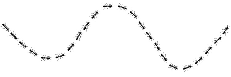 Ants trail curve ant path isolated in white Vector Image