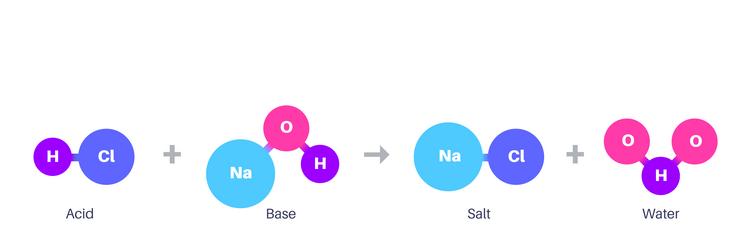 Reaction neutralization poster Royalty Free Vector Image