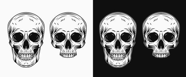 Skull Front Facing Vector Images (over 1,500)