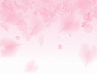 Background Pink Sakura Vector Images (over 13,000)