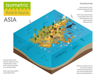 Isometric 3d asian flora and fauna map Royalty Free Vector