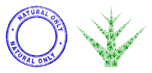 Tree Watermark Vector Images (over 1,000)