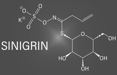 Sinigrin glucosinolate molecule skeletal formula Vector Image