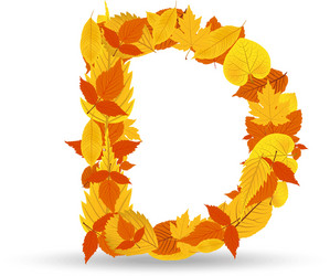 Autumn leaves font letter c Royalty Free Vector Image