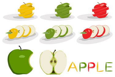On theme big set different types round apples Vector Image