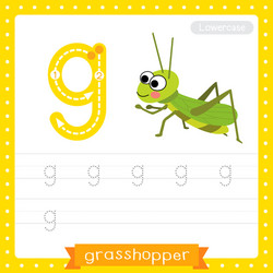 Letter g uppercase and lowercase tracing practice Vector Image