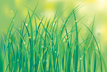 Grass Vector Images (over 320,000)