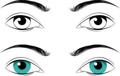 Male eyes with eyebrows Royalty Free Vector Image
