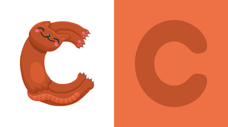 C is for cat letter cat cute Royalty Free Vector Image