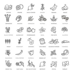 Superfoods line icons Royalty Free Vector Image