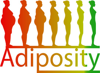 Obesity Royalty Free Vector Image - VectorStock