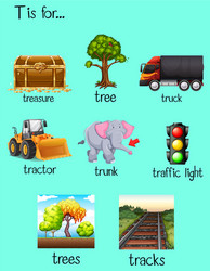 Letter T Flashcards Vector Images (over 520)