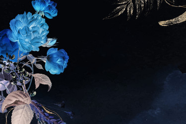 Desktop Wallpaper Vector Images (over 10,000)