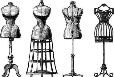 Dress form Royalty Free Vector Image - VectorStock