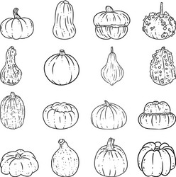 Knucklehead Vector Images (30)