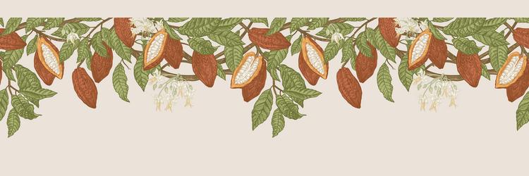 Border with cocoa plant Royalty Free Vector Image