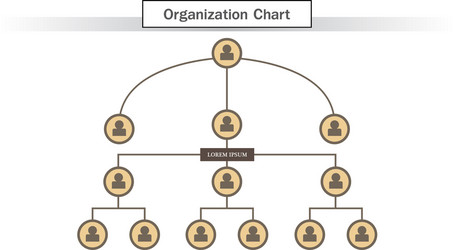 Hierarchy in company organization chart tree Vector Image