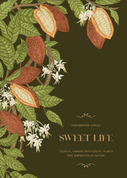 Plant predators such as venus flycatcher sundew Vector Image