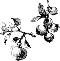 Black ink drawing Royalty Free Vector Image - VectorStock