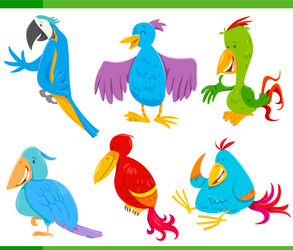 Bird cartoon Royalty Free Vector Image - VectorStock