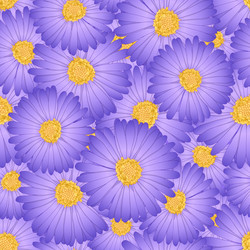 Pink aster daisy flower seamless background Vector Image