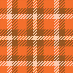 Thanksgiving orange plaid seamless pattern Vector Image