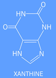 Xanthine purine base molecule skeletal formula Vector Image