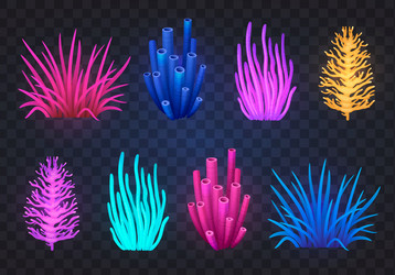 Coral reefs set Royalty Free Vector Image - VectorStock