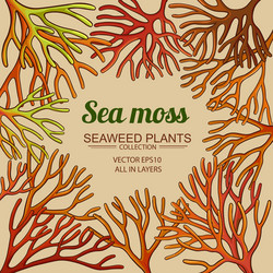 Sea Moss Vector Images (over 450)