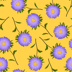 Purple aster daisy flower seamless background Vector Image