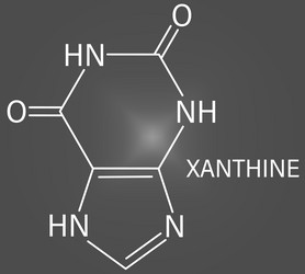 Xanthine purine base molecule skeletal formula Vector Image