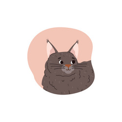 Main Vector Images (over 24,000)