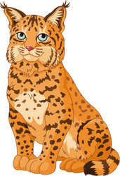 Cute cartoon bobcat Royalty Free Vector Image - VectorStock