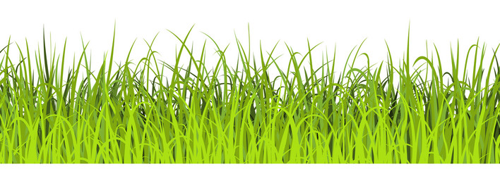 Horizontal grass border green meadow plants Vector Image Horizontal grass border green meadow plants Vector Image