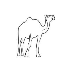 Camel continuous one line art drawing Royalty Free Vector