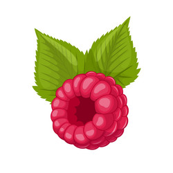 Raspberry fruit set cartoon Royalty Free Vector Image