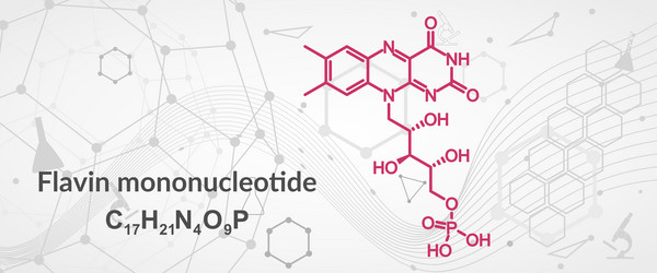 Vitamin e structural formula of molecular Vector Image