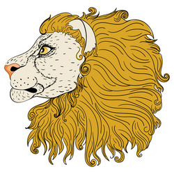 Lion Profile Vector Images (over 890)