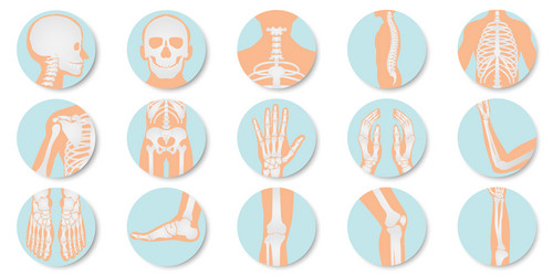 Bandage human body injury bandaging body parts Vector Image