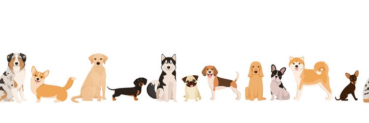 Seamless border with festive dogs Royalty Free Vector Image